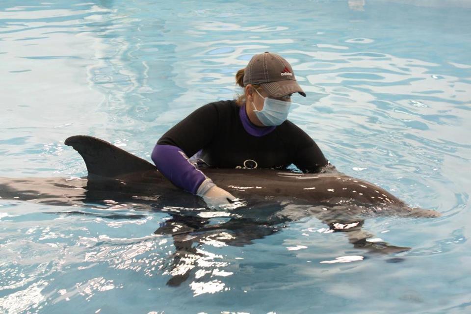 SeaWorld San Antonio and Texas Marine Mammal Stranding Network Extended ...