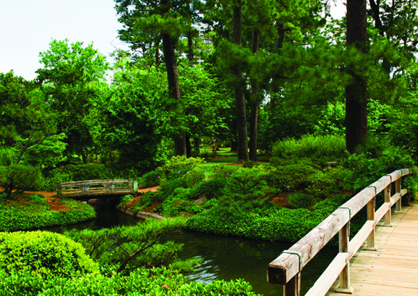 The Greening of Houston: How Your Family Can Help - Houston Family Magazine