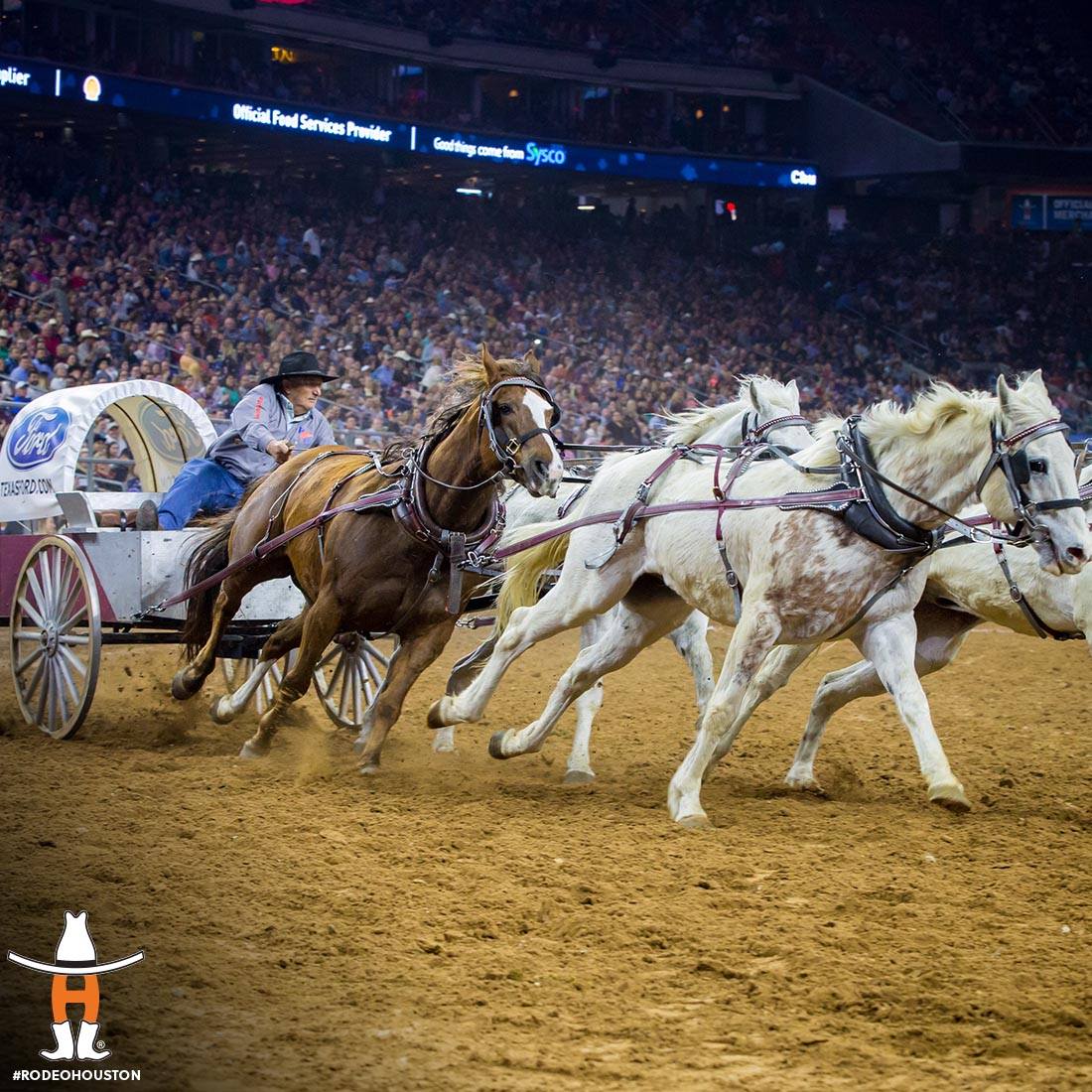 What you need to know for 2019 Houston Livestock Show and Rodeo ...
