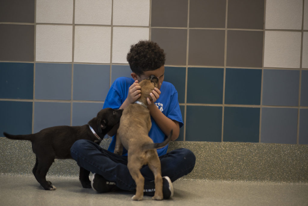 Houston SPCA: Behind the Scenes - Houston Family Magazine