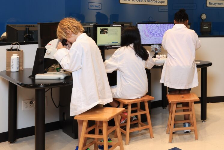 The Health Museum - Discovery Camps - Houston Family Magazine